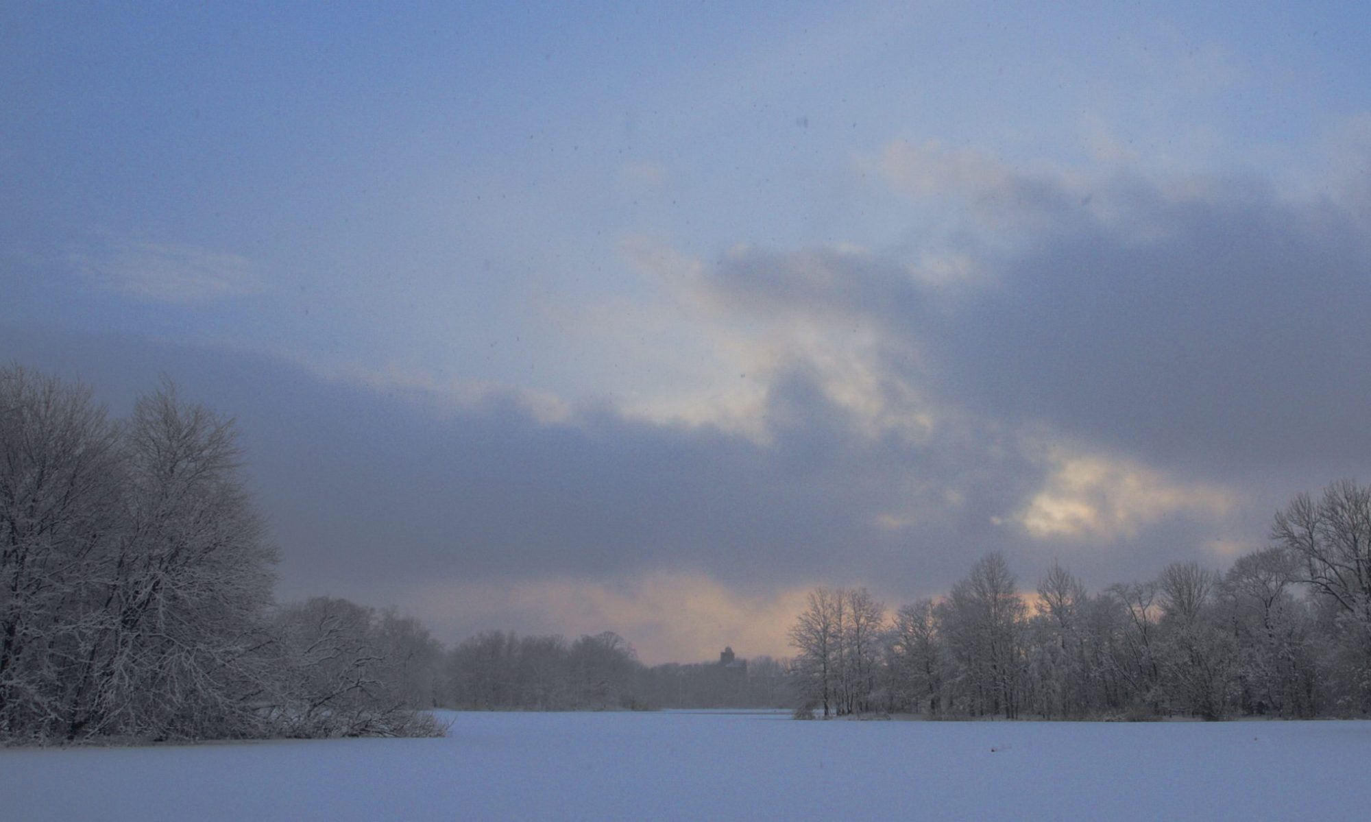 Research Interests David B Sauer Phd